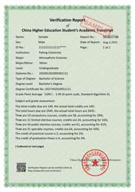Brief Introduction to Verification Report_CHESICC